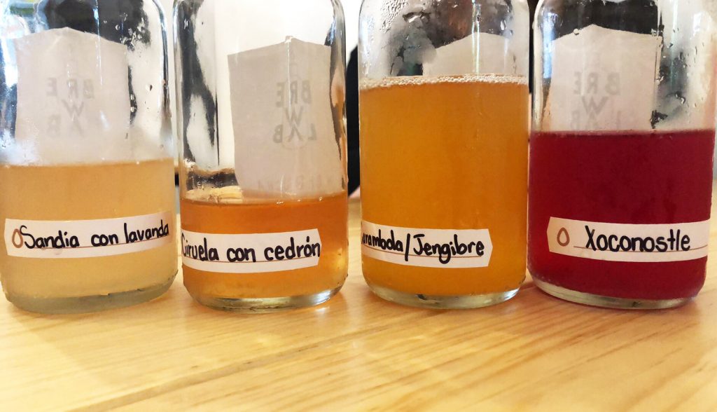 PUR Kombucha around the world - Interview with Bew Lab Mexico